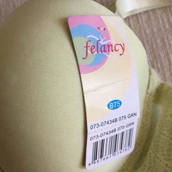 felancy | Intimates & Sleepwear | Felancy Green Lace Underwire Bra ...